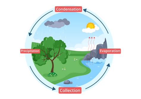 Best Premium Collection Of Water After Condensation Illustration