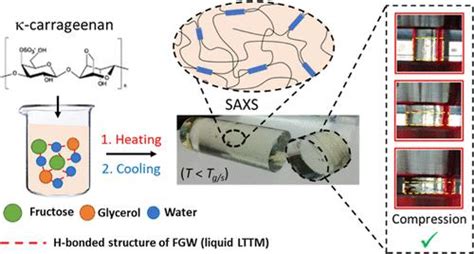 与果糖 甘油 水 Lttm 相关的 κ 角叉菜胶：走向天然热敏物理凝胶 Acs Sustainable Chemistry And Engineering X Mol