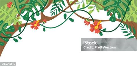 정글 열대 우림 풍경 배너 고립 된 개념입니다 벡터 평면 그래픽 디자인 일러스트 0명에 대한 스톡 벡터 아트 및 기타 이미지 0명 관광 기후 묘사 Istock