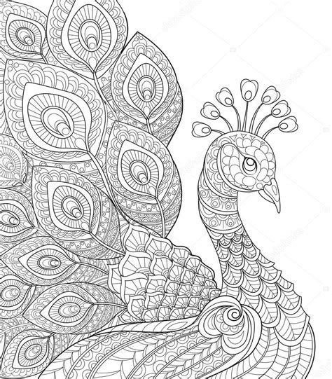 Pavo real Página para colorear antiestrés para adultos Stock Vector by