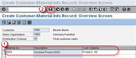 Customer Material Info Record Cmir In Sap Vd51 Tcode