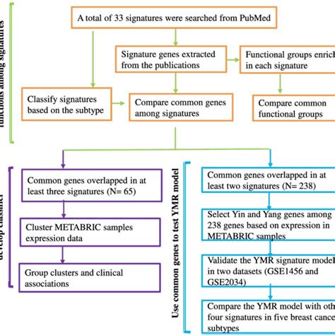 Project Schema Three Components Common Genes And Common Functions Download Scientific Diagram