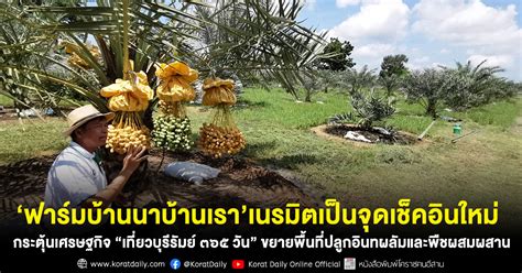 ‘ฟาร์มบ้านนาบ้านเราเนรมิตเป็นจุดเช็คอินใหม่ กระตุ้นเศรษฐกิจ “เที่ยว