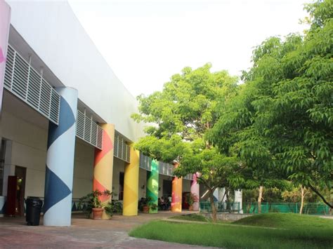 Centro De Rehabilitación Y Educación Especial Cree Dif Tabasco