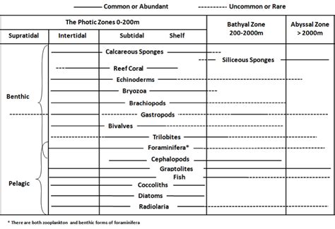Exercise 9 1 Using Fossils For Correlation Laboratory Manual For Earth History