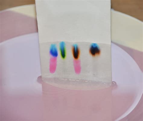 Paper Chromatography Experiment