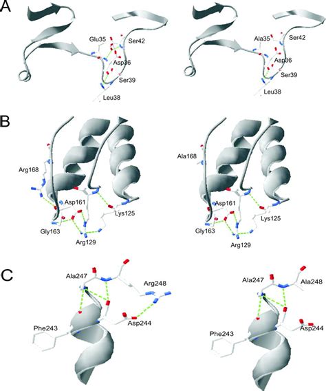 Structural Prediction Of The Residual Interactions In A Fumigatus