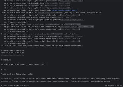 Application Failed To Connect To Nacos Server Nullplease Check Your Nacos Server Config