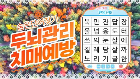 100세시대의 최고의 두뇌 운동 숨은단어찾기 치매예방 퀴즈 초성퀴즈 단어퀴즈 두뇌운동 뇌건강 치매테스트