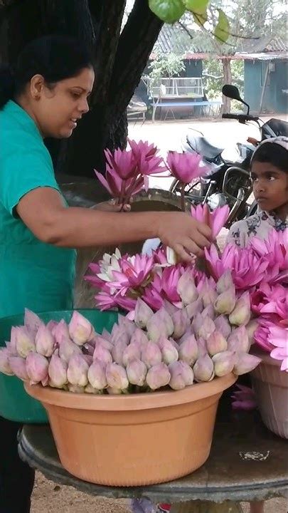 අනේ අපේ මල් ගන්නකෝ💕 Youtube