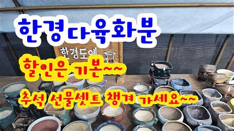 2023년 9월 23일251회차영상 한경다육화분 수제공방분 다육화분 화분 예쁜화분 다육식물 다육이 Youtube