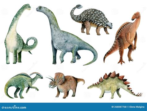 Herbivore Examples At Rosetta Prather Blog
