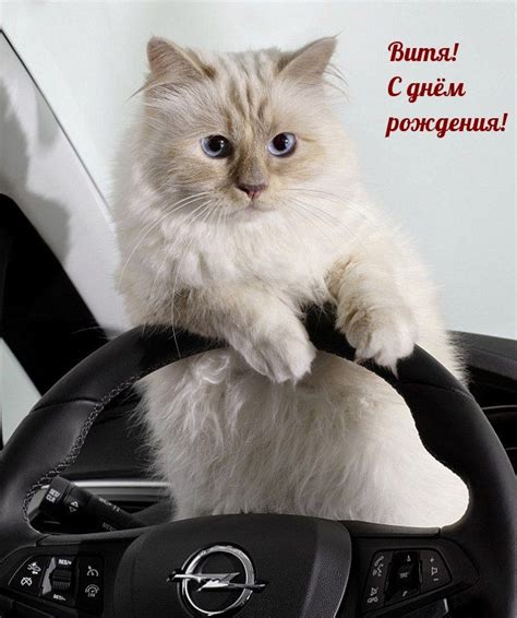 Витя С днём рождения