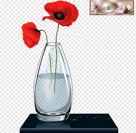 꽃병 정 유리 꽃병 유리 사진술 병 장식 Png Pngwing