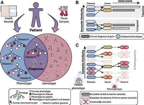 A Visual And Curatorial Approach To Clinical Variant Prioritization And Disease Gene Discovery
