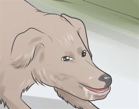 No Context Wikihow Illustrations Raise A Lot Of Questions Neatorama