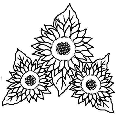 ヒマワリ3 向日葵 白黒 夏の花 無料イラスト素材