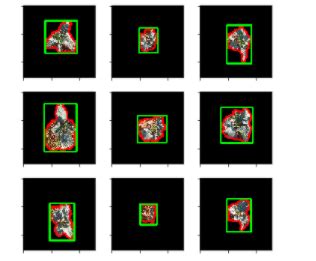 Plant Segmentation Background Removal 1 Eden Library