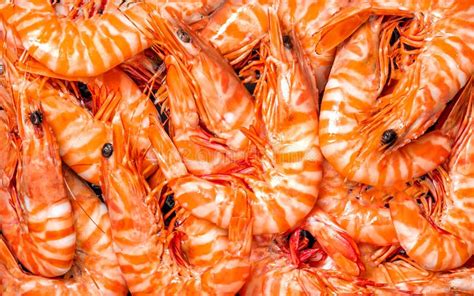 Shrimps Background Seafood Concept Pattern Wallpaper Red Cooked