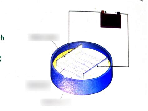 Diagram Of To Show Electric Field Patterns Quizlet