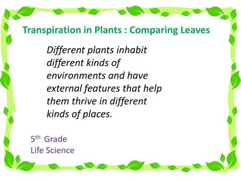 Ppt Transpiration In Plants Comparing Leaves Powerpoint