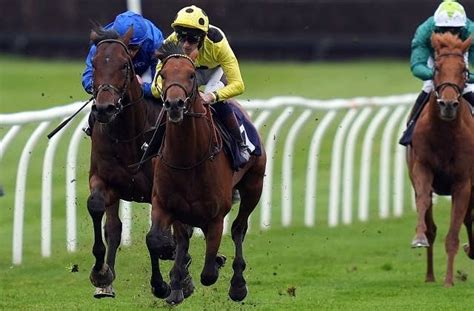 英ダービートライアルs、良血サードレルムが最低人気に反発 Jra Van World 海外競馬情報サイト