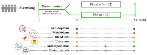 Antioxidants Free Full Text Diverse And Synergistic Actions Of