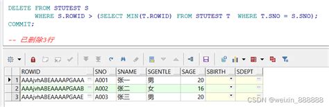 oracle中使用rowid删除重复数据 oracle rowid去重 csdn博客