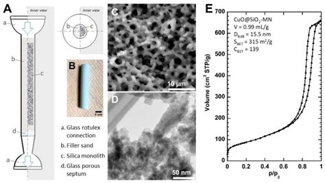 Copper Oxide Nanoparticles Over Hierarchical Silica Monoliths For