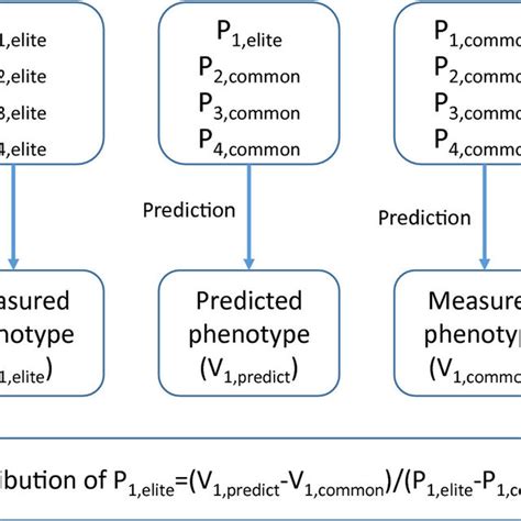 The Routine For Identifying The Key Parameters Controlling The Canopy Download Scientific