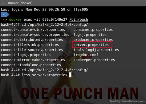【kafka精进系列002】docker环境下kafka的安装启动与消息发送docker 进入并发送消息是guava不是瓜娃的博客 Csdn博客