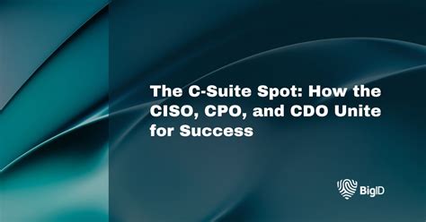 The C Suite Spot How The Ciso Cpo And Cdo Unite For Success Bigid