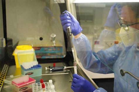 Francia Identifica Una Nueva Variante De La Covid Denominada IHU