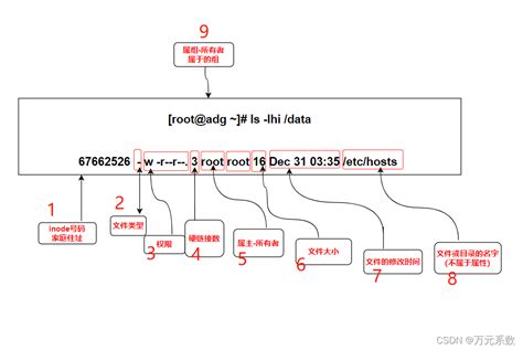 Linux基础：文件类型linux 获取文件第一个字符 Csdn博客