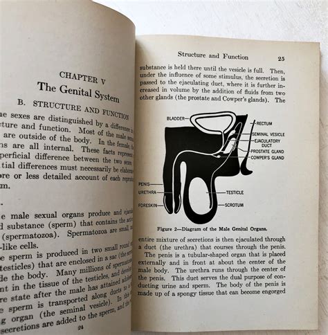 Sex Education Book Health Guides And Guards Syphilis Etsy