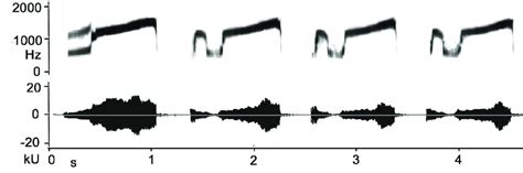 Sound Spectrogram Above Showing The Change In In Frequency In Hz