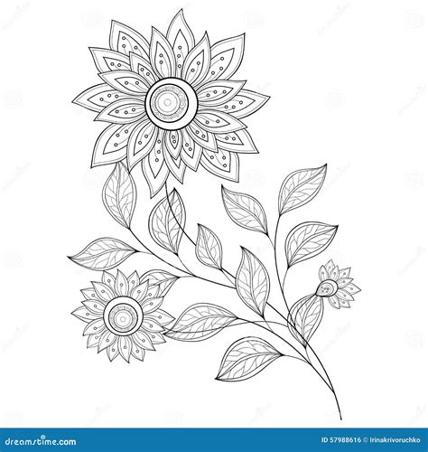 Bello Fiore Monocromatico Di Contorno Di Vettore Illustrazione Vettoriale Illustrazione Di
