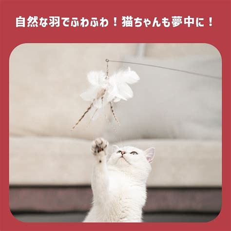 【楽天市場】猫じゃらし 鈴 おもちゃ 猫遊び用 運動不足 ストレス発散 留守番 ペット用品 猫用 ねこ ネコ 猫用知育玩具 一人遊び