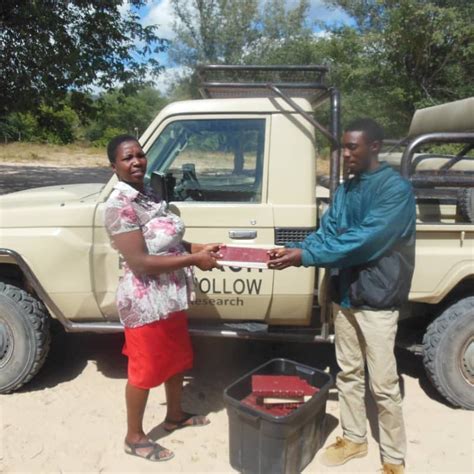 African Lion And Environmental Research Trust Home Facebook