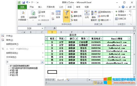 Excel筛选（excel 2010中的筛选的使用方法）电脑软硬件教程网