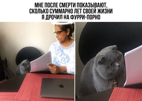 ﻿МНЕ ПОСЛЕ СМЕРТИ ПОКАЗЫВАЮТ СКОЛЬКО СУММАРНО ЛЕТ СВОЕЙ ЖИЗНИ Я ДРОЧИЛ НА ФУРРИ ПОРНО Приколы