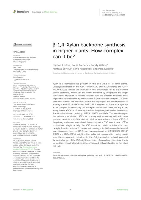 Pdf β 14 Xylan Backbone Synthesis In Higher Plants How Complex Can
