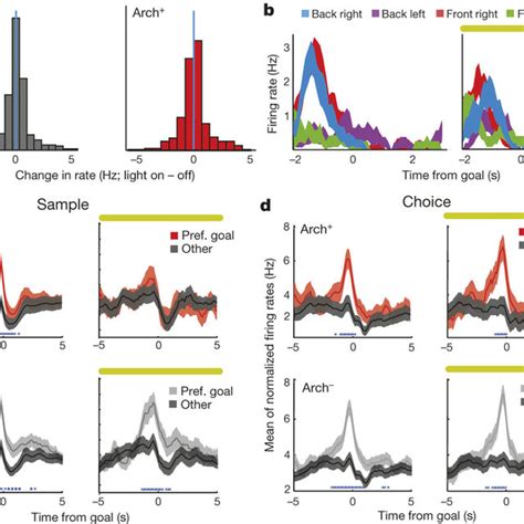 Location Selectivity Requires Vhpc Input During Encoding But Not Download Scientific Diagram