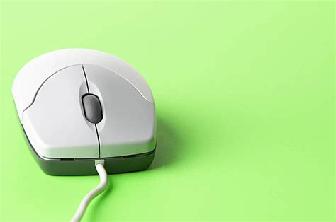 Computer Mouse Mouse Illustration Internet Vector Mouse Illustration
