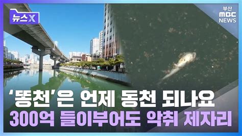 똥천은 언제 동천 되나요 300억 들이부어도 악취 제자리 뉴스x Youtube