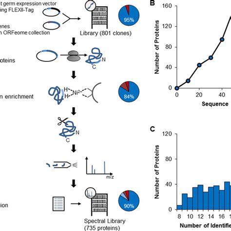 Workflow Of Spectral Library Generation A Workflow 846 Genes From