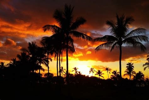 Michael Marie Los Angeles Ca