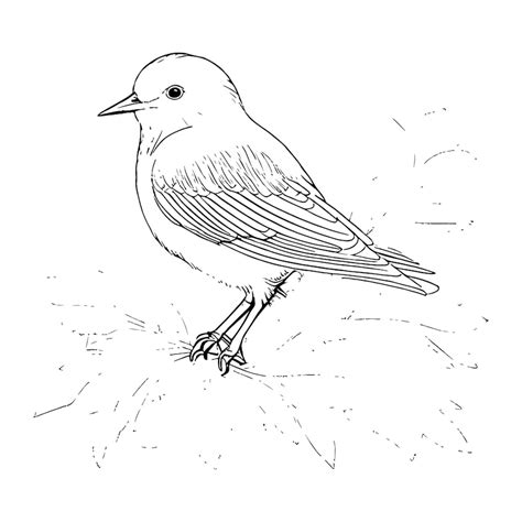 Premium Vector This Is A Clean Eyecatchy Professional Design Suitable