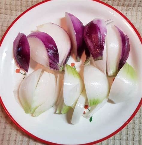 10월텃밭 월동작물심기양파 심는 시기 양파키우기 양파심는방법양파거름주는시기영파수확시기 네이버 블로그