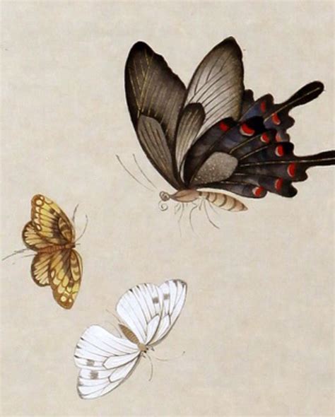 이미지 꽃 식물 민화 잠자리 그림 나비 아트